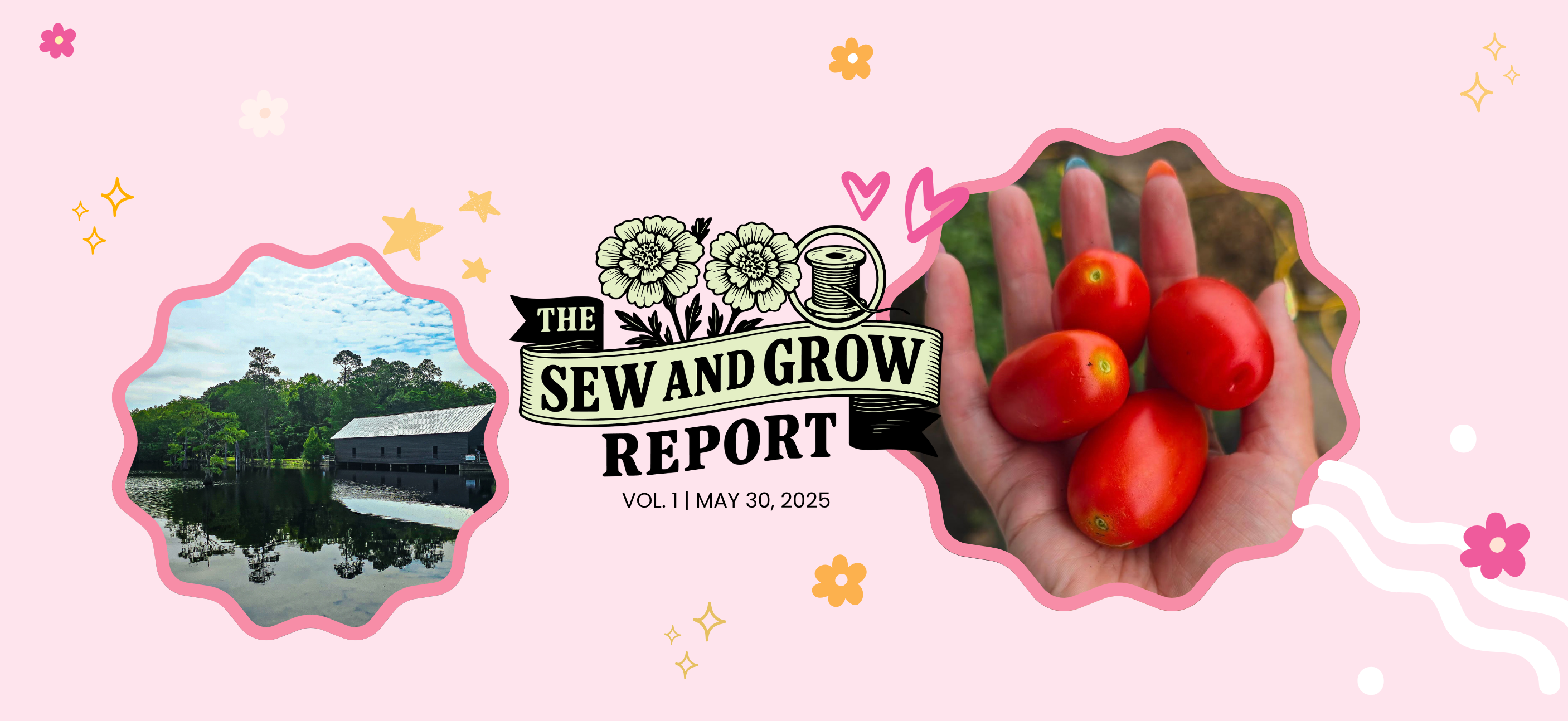 🍅 The Sew & Grow Report Vol. 1: Summer Starts with Stitches & Sunshine ...